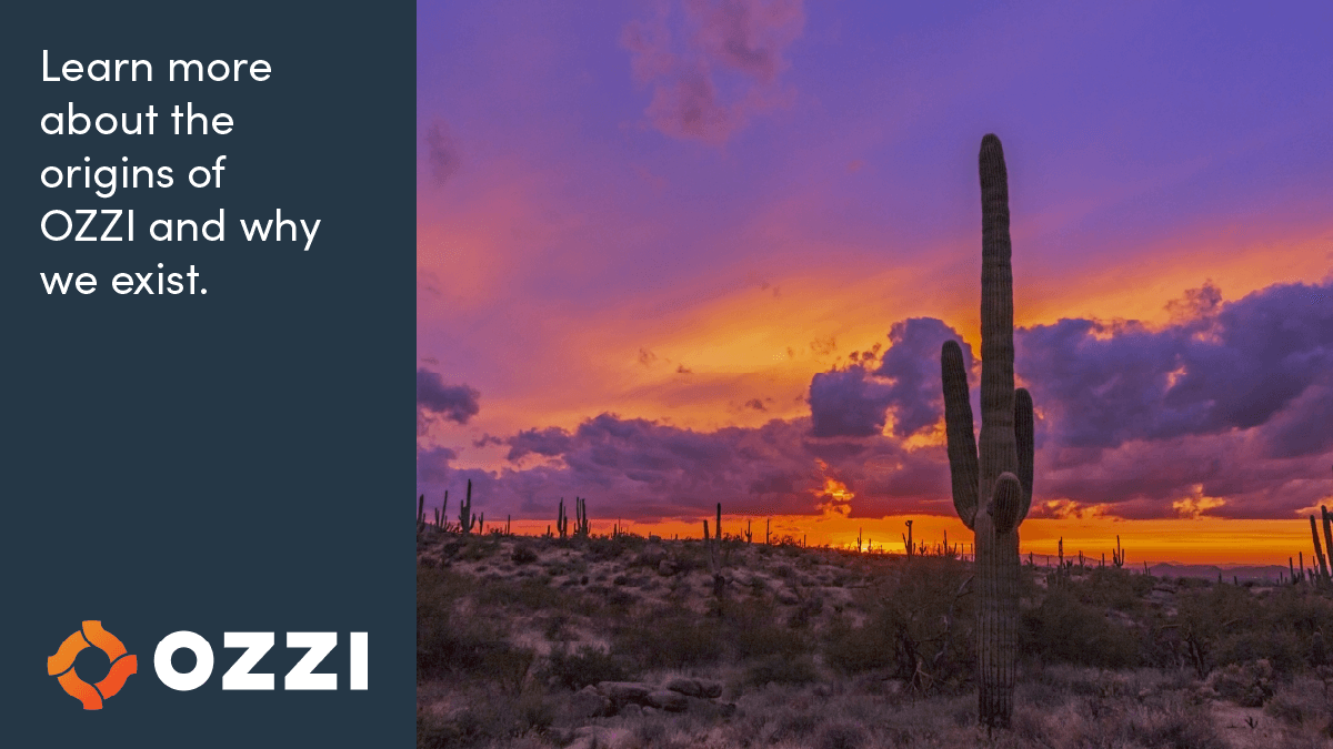 Our Story – Why OZZI Was Built